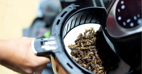 Air Fryer Sizes: How to Choose The Best For You & Family