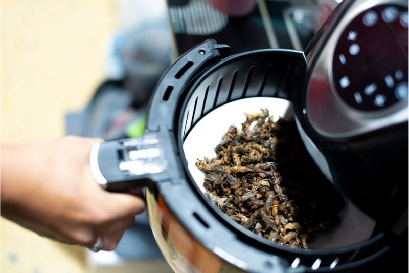 Air Fryer Sizes: How to Choose The Best For You & Family